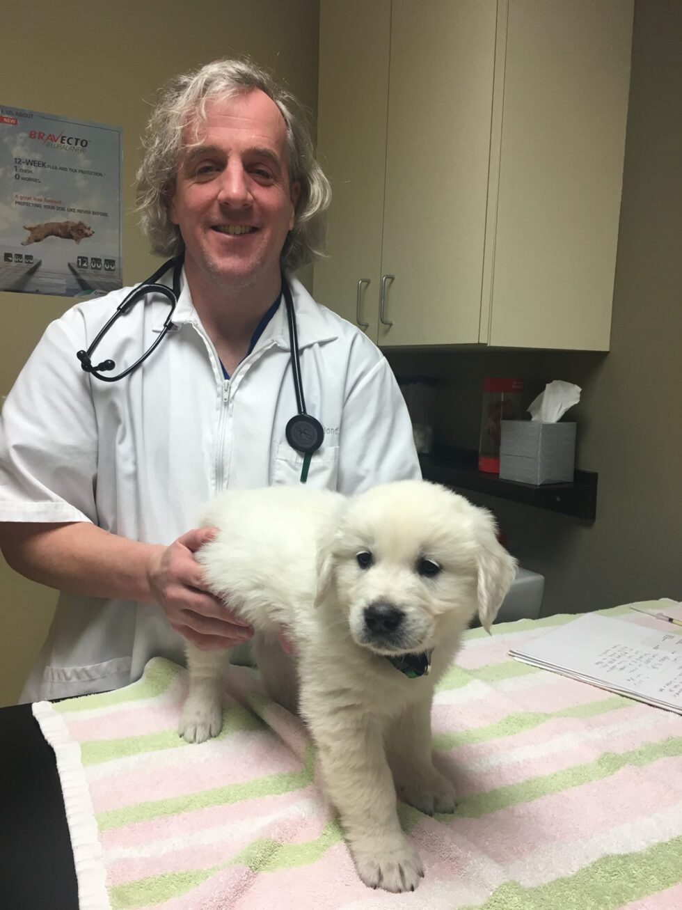 Careers | White Oak Veterinary Hospital